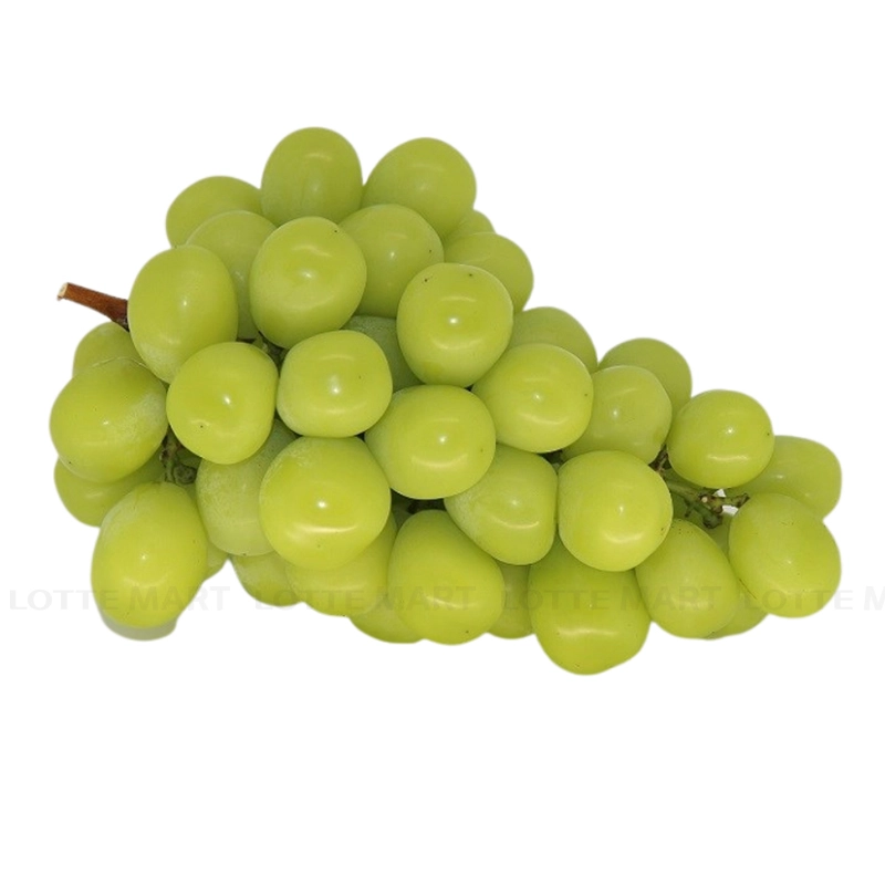 Nho mẫu đơn Shine Muscat nhập khẩu Hàn Quốc 450g