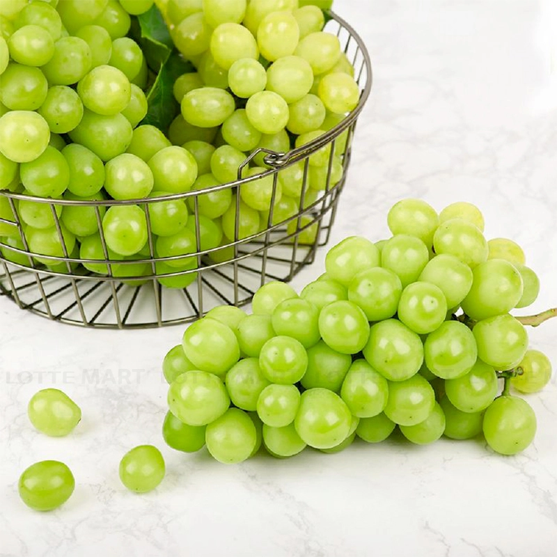 Nho mẫu đơn Shine Muscat nhập khẩu Hàn Quốc 600g