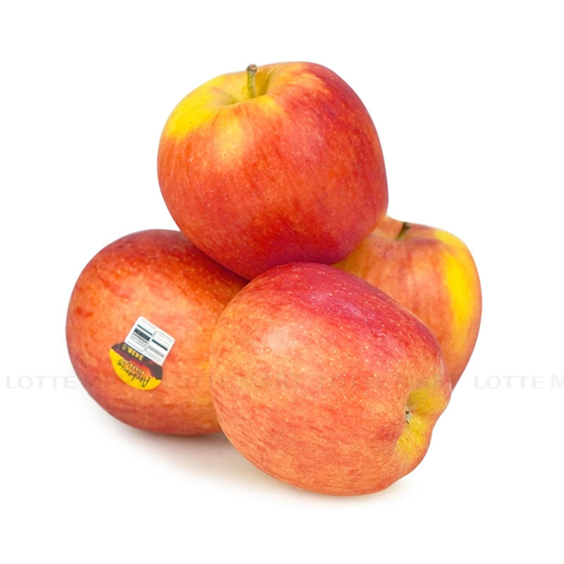 Táo Ambrosia New Zealand Xô 1kg