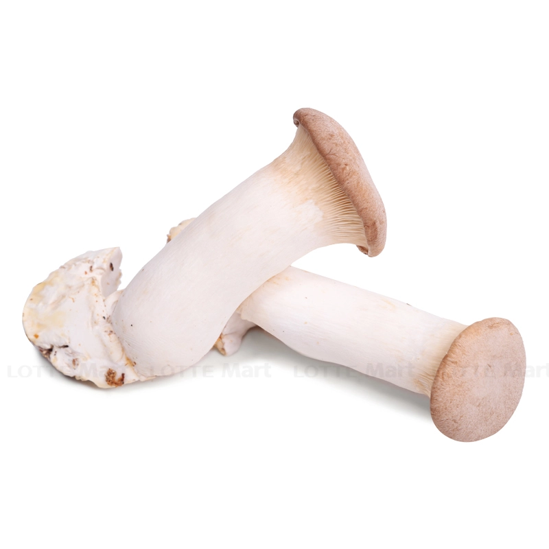 Nấm đùi gà Hàn Quốc 200g (ea)