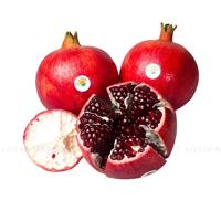 SN-LUU KIM CUONG DEN TQ