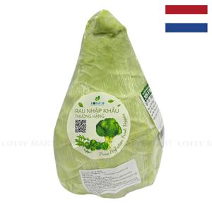 Bắp Cải Trái Tim Nhập Khẩu Hà Lan Kojavm 1.2kg