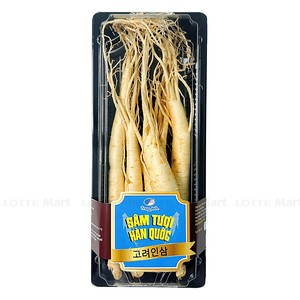 Sâm Tươi Hàn Quốc 100g
