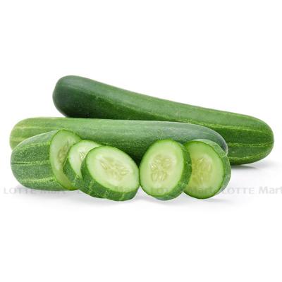 Dưa Leo 500g (ea)