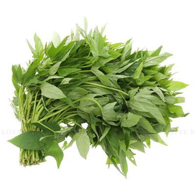 Rau lang an toàn 500g